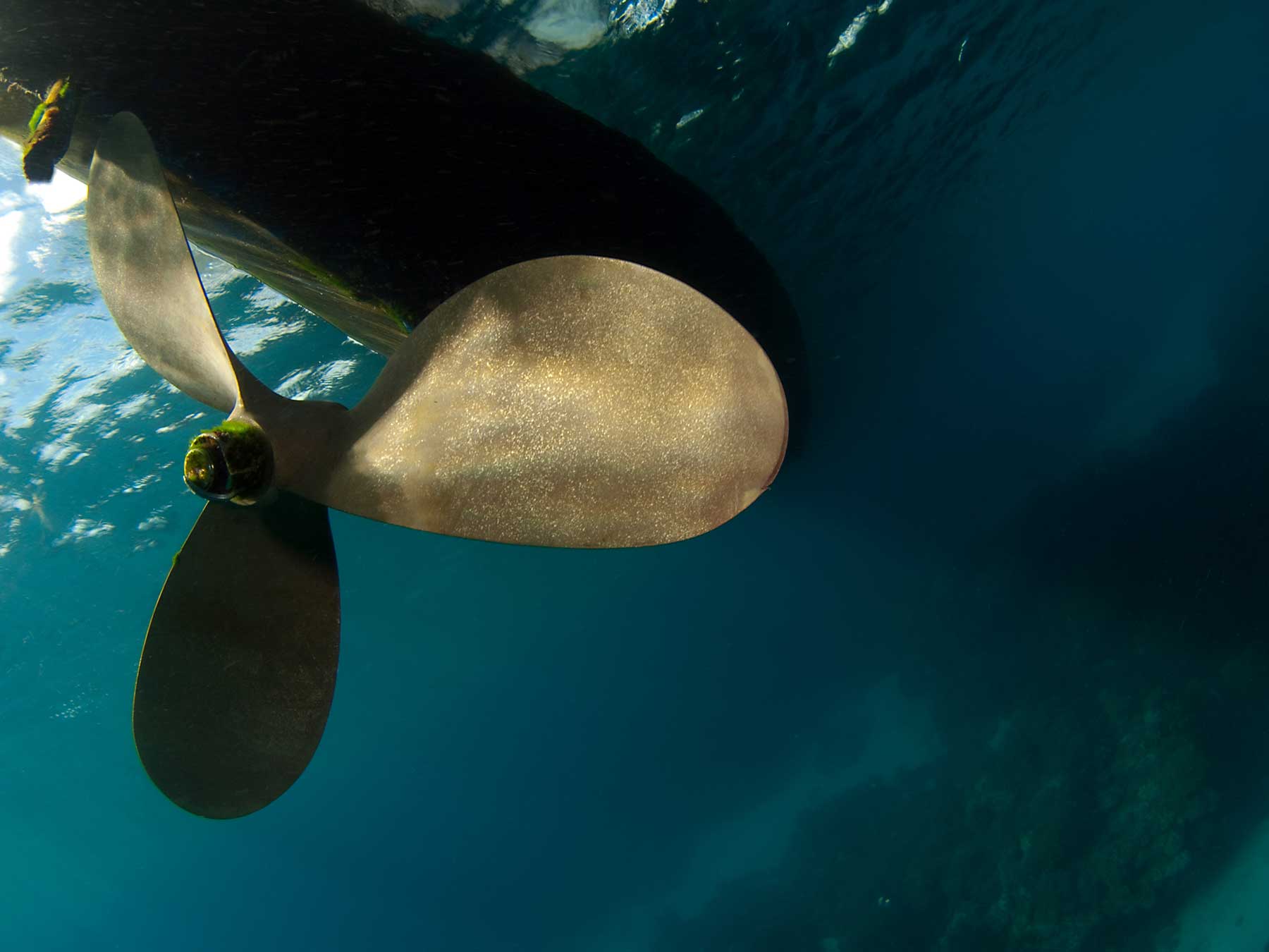 Underwater Noise