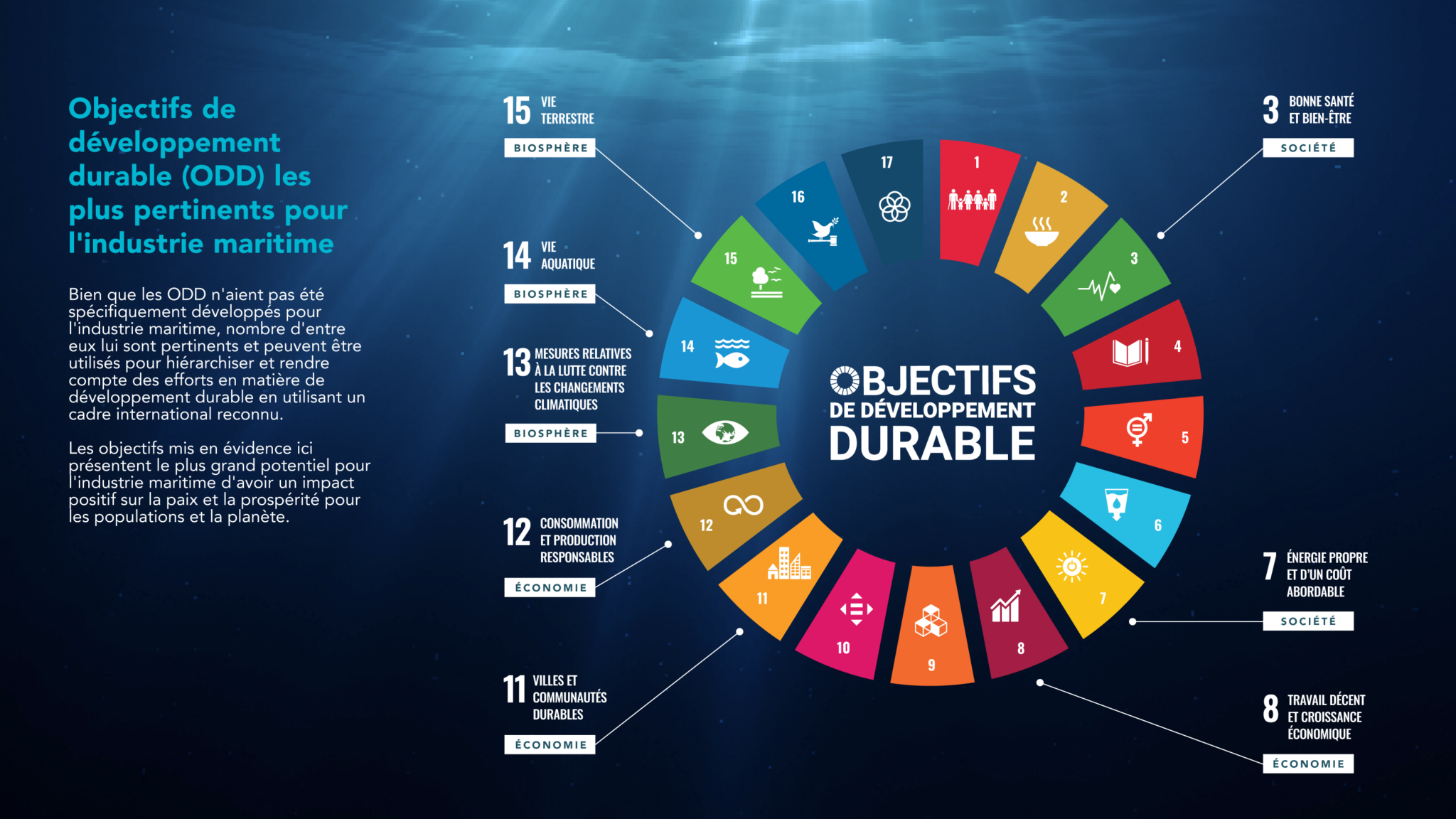 Développement durable et industrie maritime : plus que la « vie ...