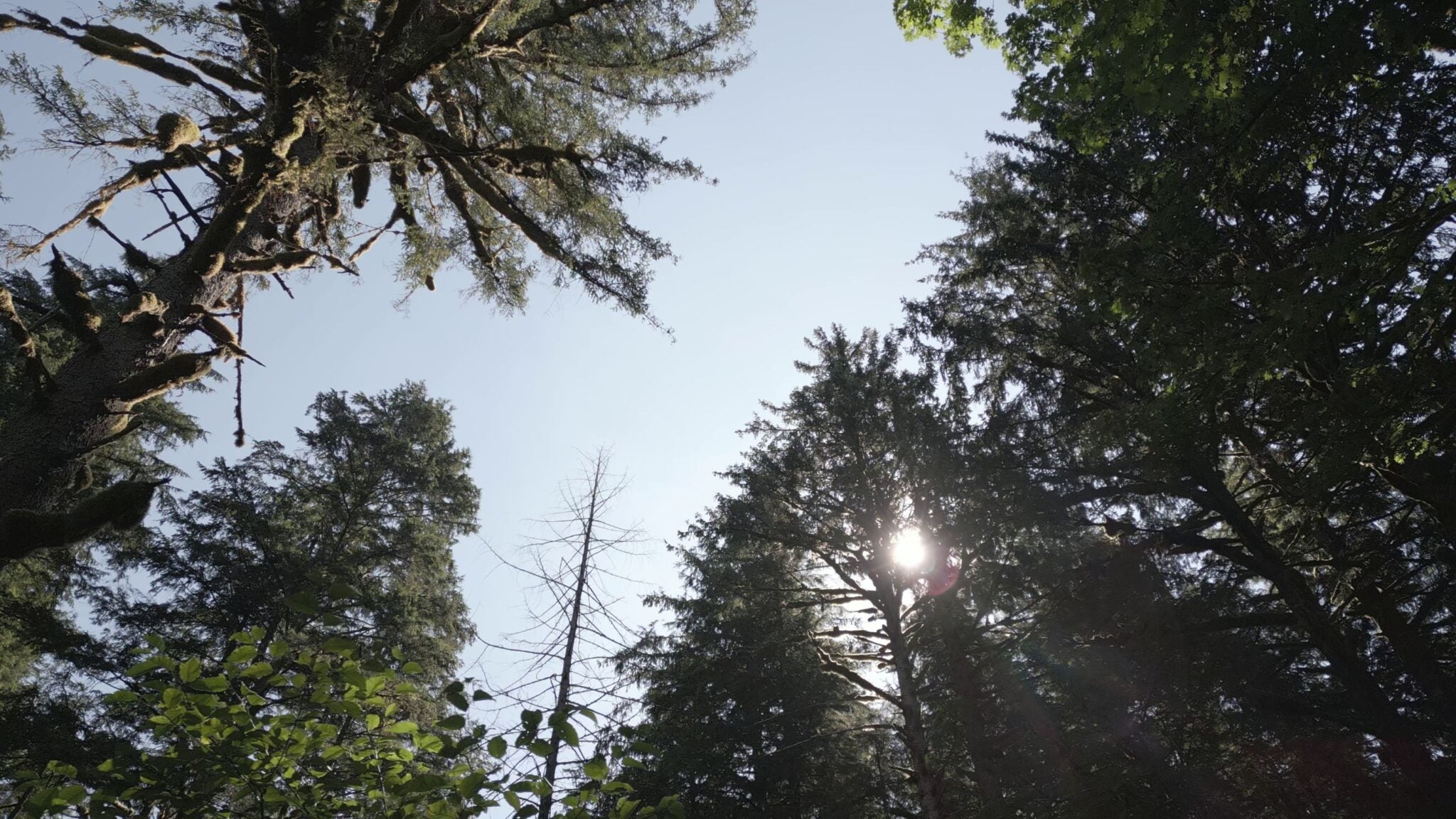 The Evolution of Marine Navigation | Clear Seas