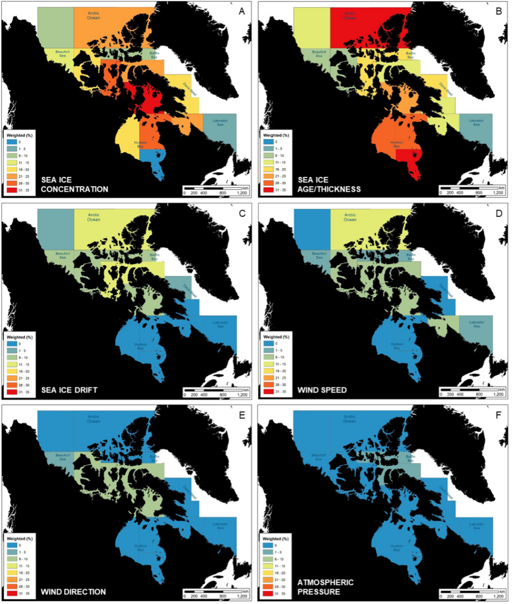 Research Spotlight: Dr. Jean Holloway – Clear Seas