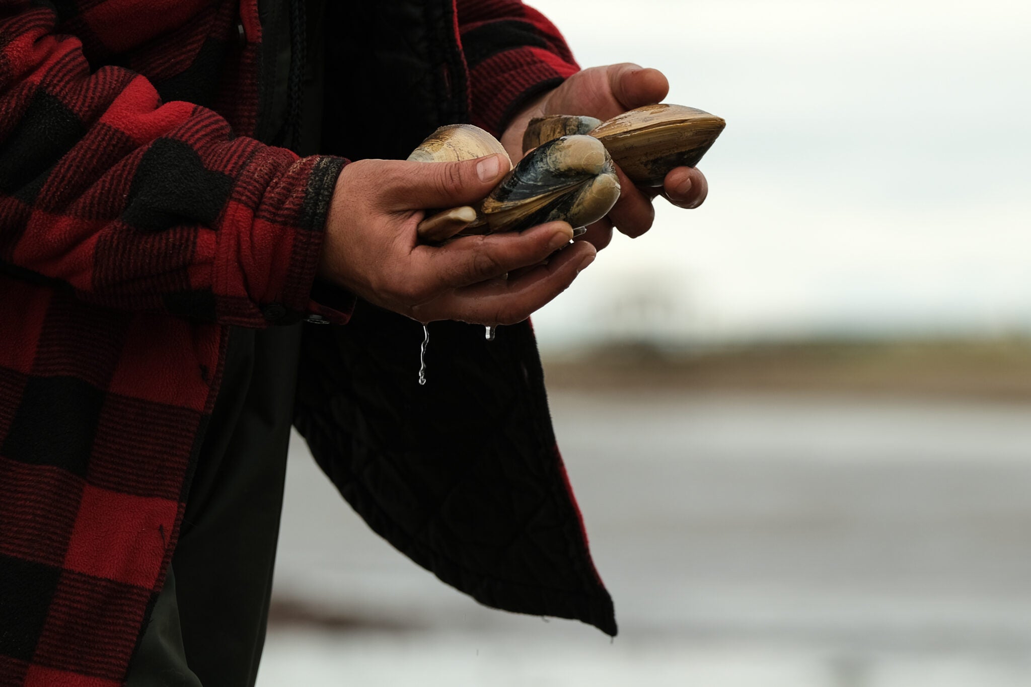 Toolkit: Reconciliation and Marine Shipping – Clear Seas