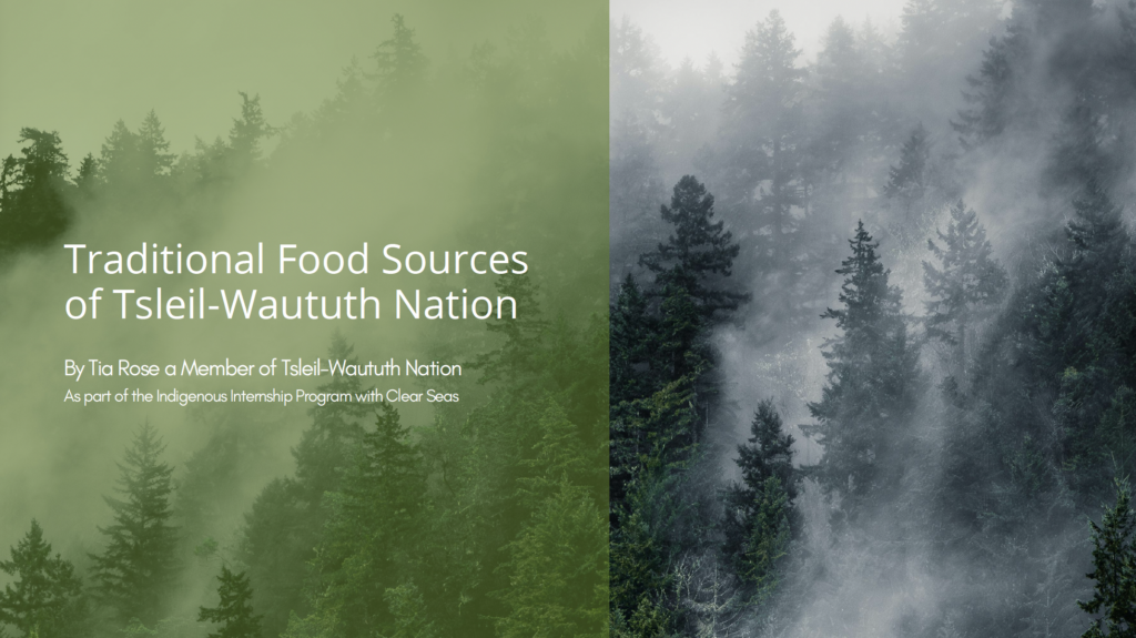 Indigenous Internship Program | Clear Seas