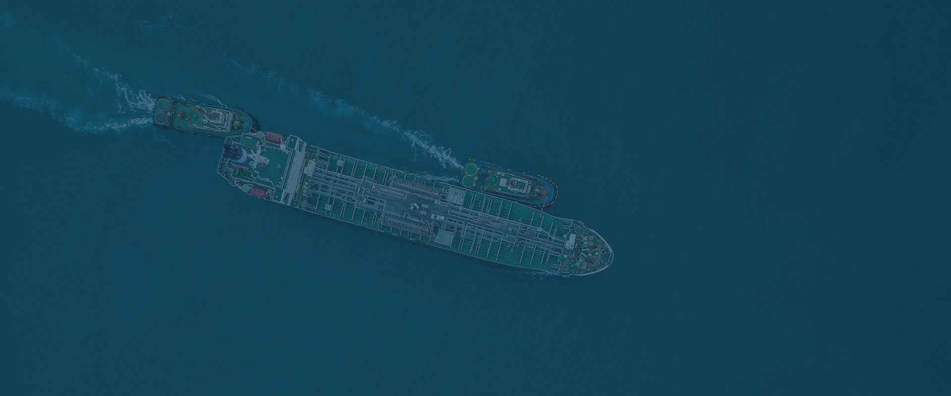 Research Report: Canadian Attitudes About Marine Shipping | Clear Seas