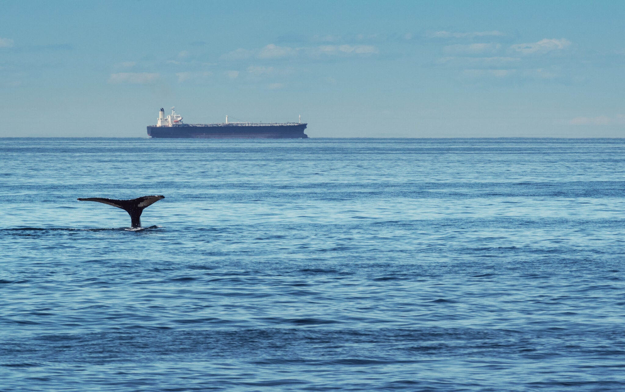 Double Hulls – Clear Seas