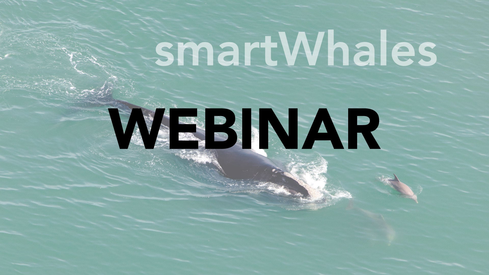 What is IMO 2020? – Clear Seas